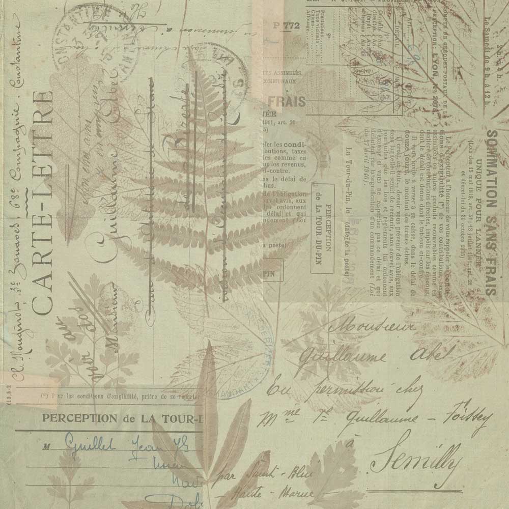 Creative Expressions / Sam Poole 8" x 8" Paper Pad - Nature's ...