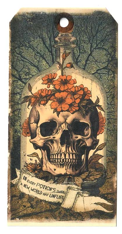 In The Land Of Elsewhere Tags - Potion Unfurls [076] - Joggles.com