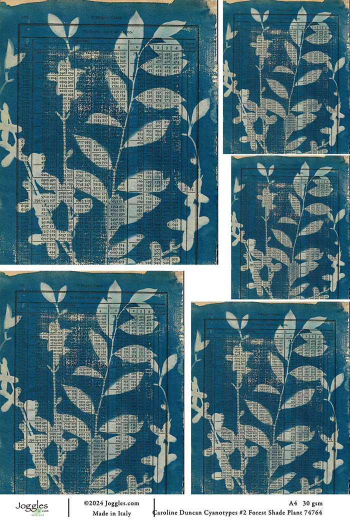 Joggles / Caroline Duncan Rice Paper - Joggles.com