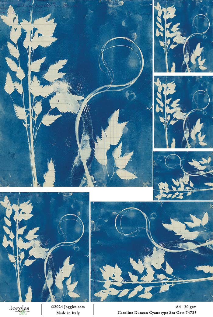 Joggles / Caroline Duncan Rice Paper - Joggles.com