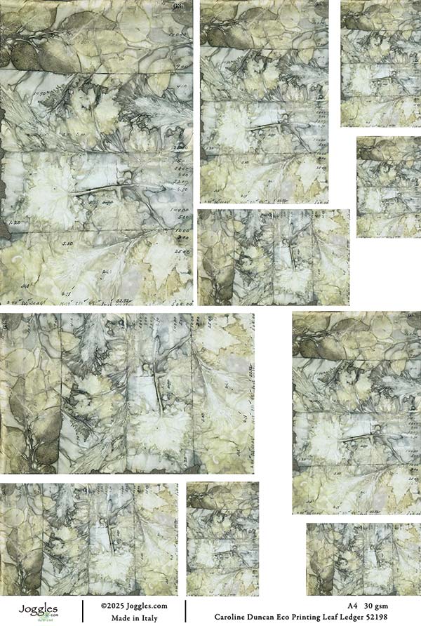Joggles / Caroline Duncan A4 Rice Paper - Eco Print - Leaf Ledger ...