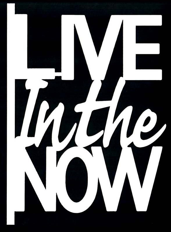 Joggles / Caroline Duncan Creative Cut Tip Ins - Joggles.com