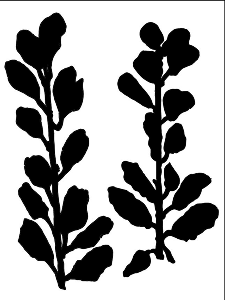 Joggles / Caroline Duncan Stencils & Masks - Joggles.com