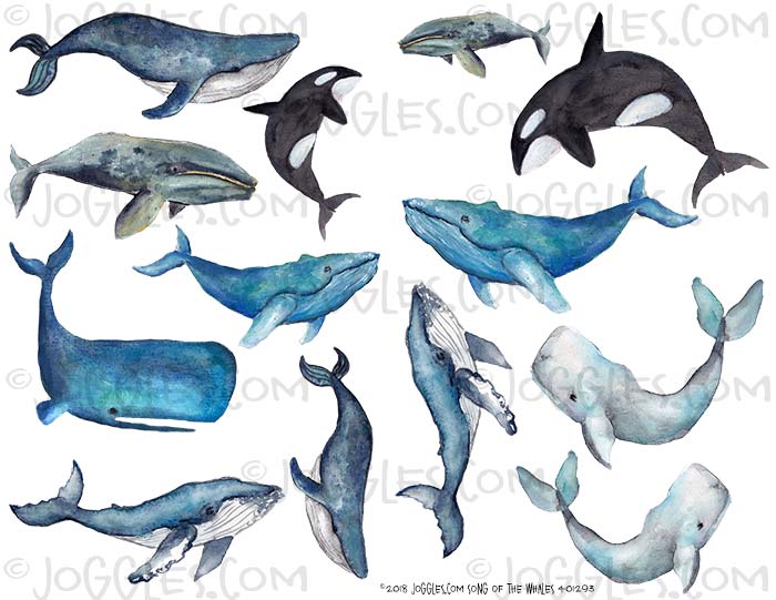 Joggles Collage Sheets - Song of the Whales [JG401293] - Joggles.com