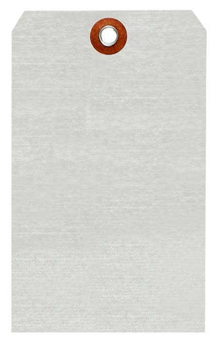 Joggles Embossable Tags - Joggles.com