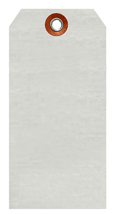 Joggles Embossable Aluminum Tags - Medium [74575] - Joggles.com