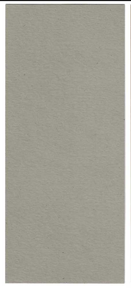 Joggles #10 Panel Cards - Wet Cement [74572] - Joggles.com