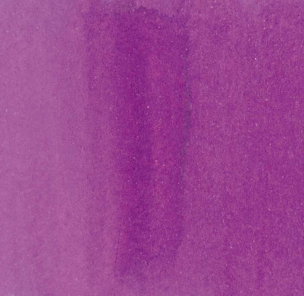 Pink Ink Designs Ink It - Hibiscus - Joggles.com