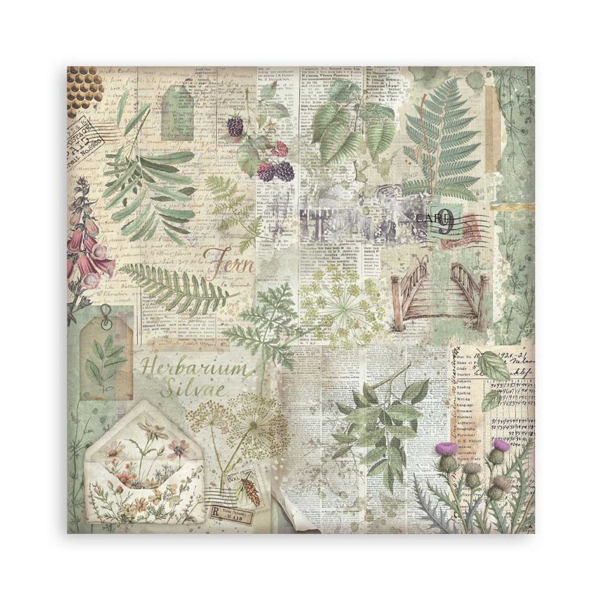 Stamperia Herbarium Silvae Collection - 12" x 12" Maxi Backgrounds ...