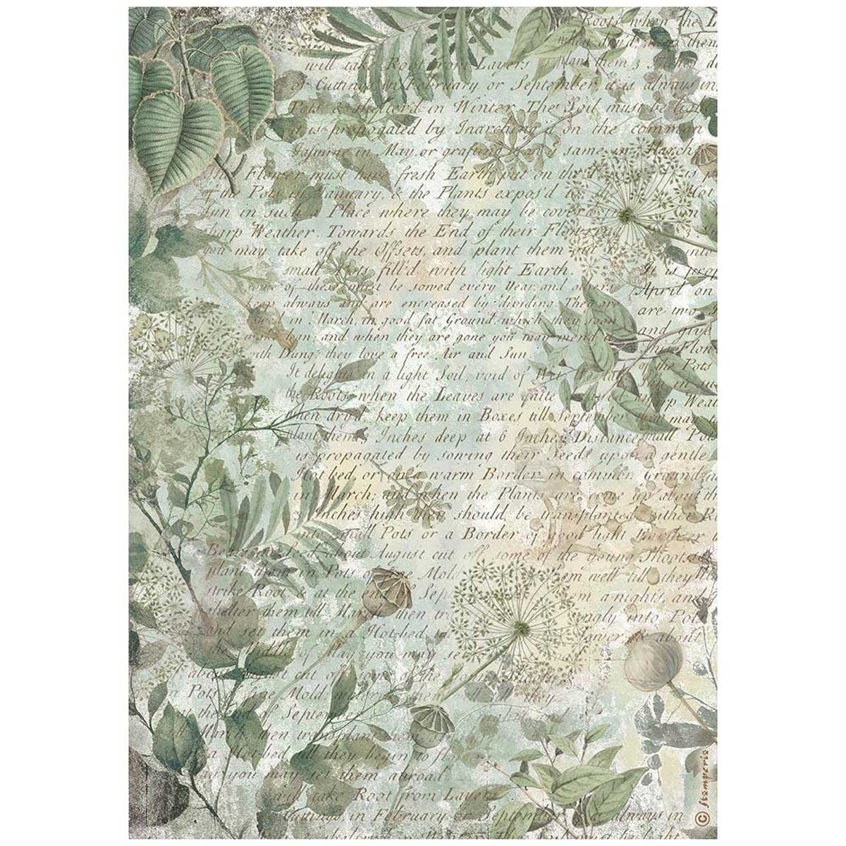 Stamperia Herbarium Silvae Collection A4 Rice Paper Leaves