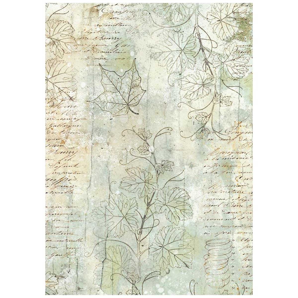 Stamperia Herbarium Silvae Collection - A6 Rice Paper Backgrounds ...