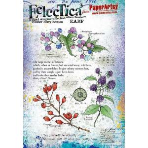 PaperArtsy Eclectica by Alison Bomber - Fodder School Stamp Set [EABF ...