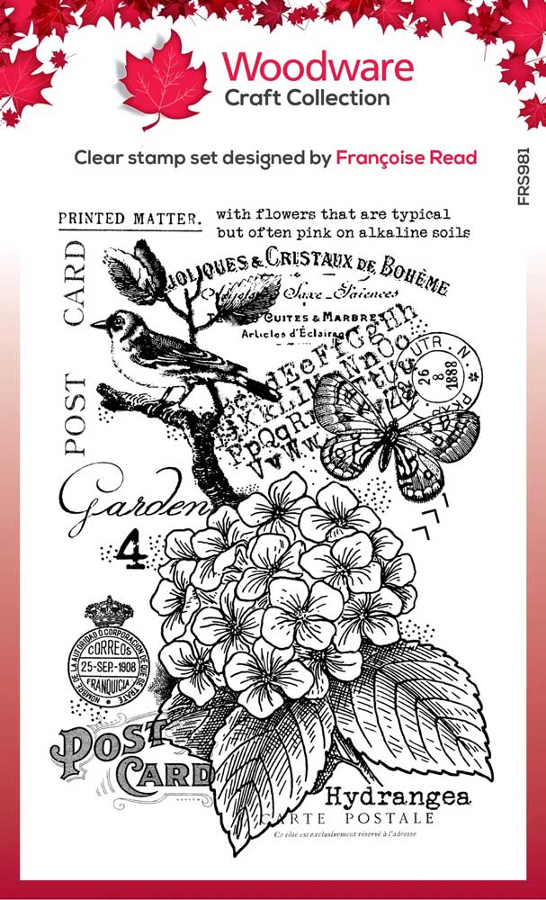 Woodware Craft Collection - Joggles.com